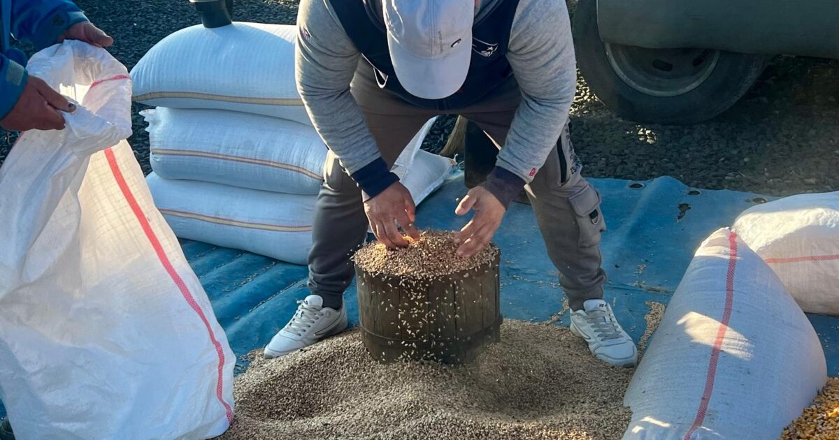 Bucate multe, mușterii puțini. La „Obor”, ca la muzeu | Tribuna – Știri ...