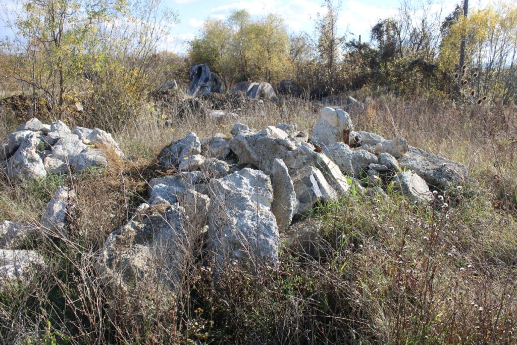 Plimbare prin cimitirul elefanţilor de la Belvedere. Sau al toboganelor ...