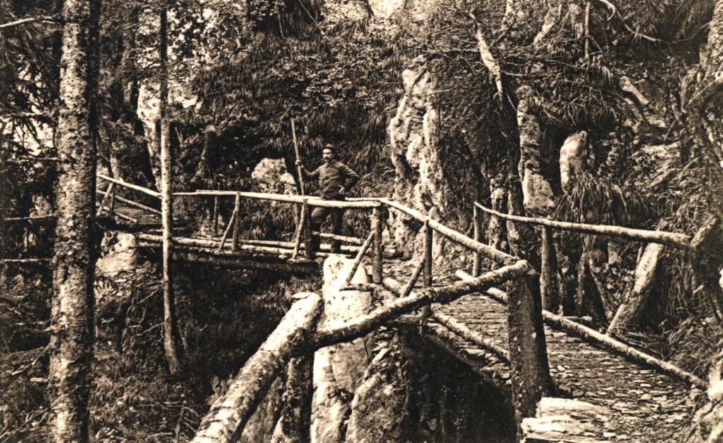 Podețe noi pe „Poteca Balaurului”. Salvamont Sibiu a refăcut un segment ...